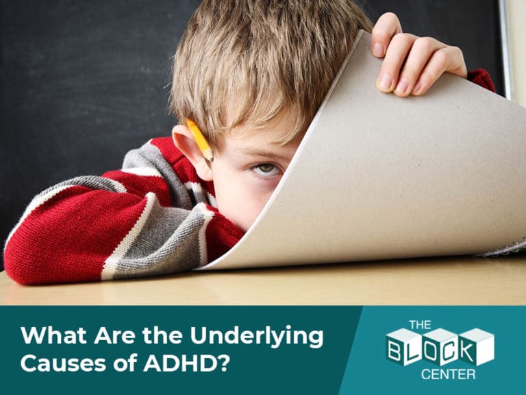 What Are the Underlying Causes of ADHD? ~ The Block Center